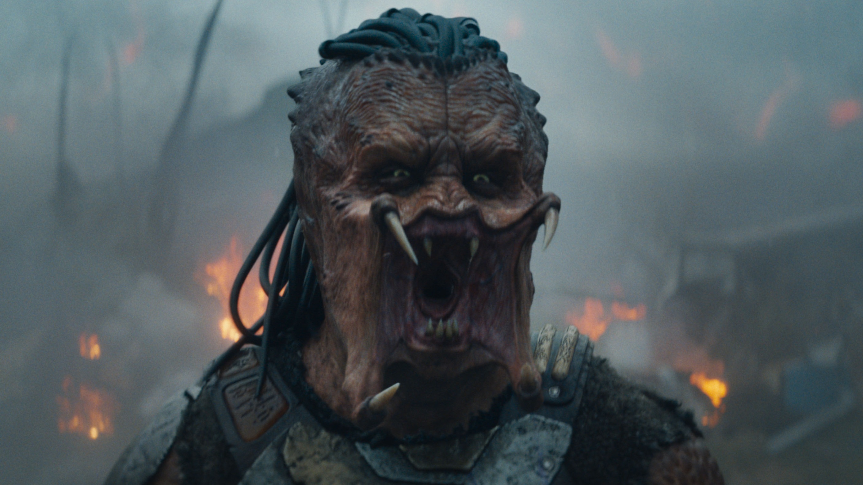 En qué orden se deben ver las películas de 'Depredador'